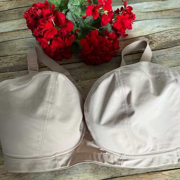 Goddess | Intimates & Sleepwear | Nwt Goddess Celeste Tannude Wirefree ...